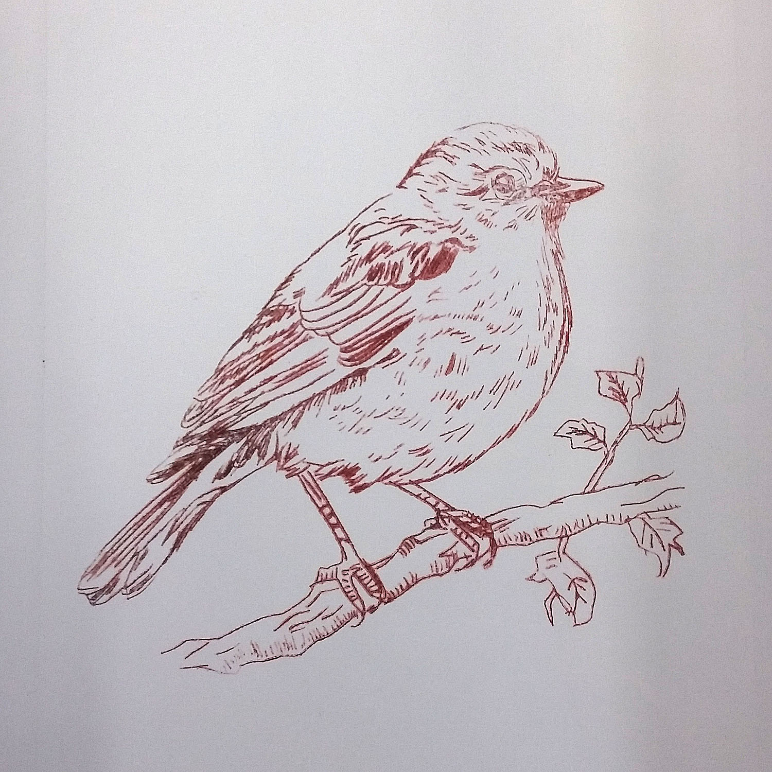 Student showcase: experiments with drypoint printmaking – Crafts for ...