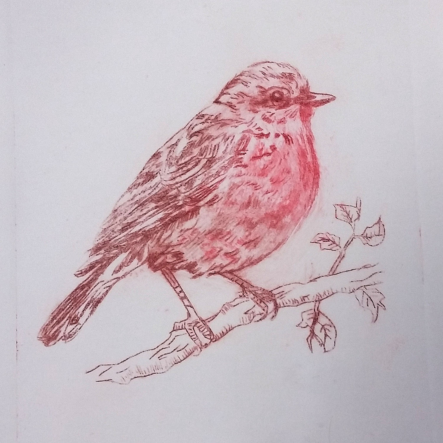 Student showcase: experiments with drypoint printmaking – Crafts for ...